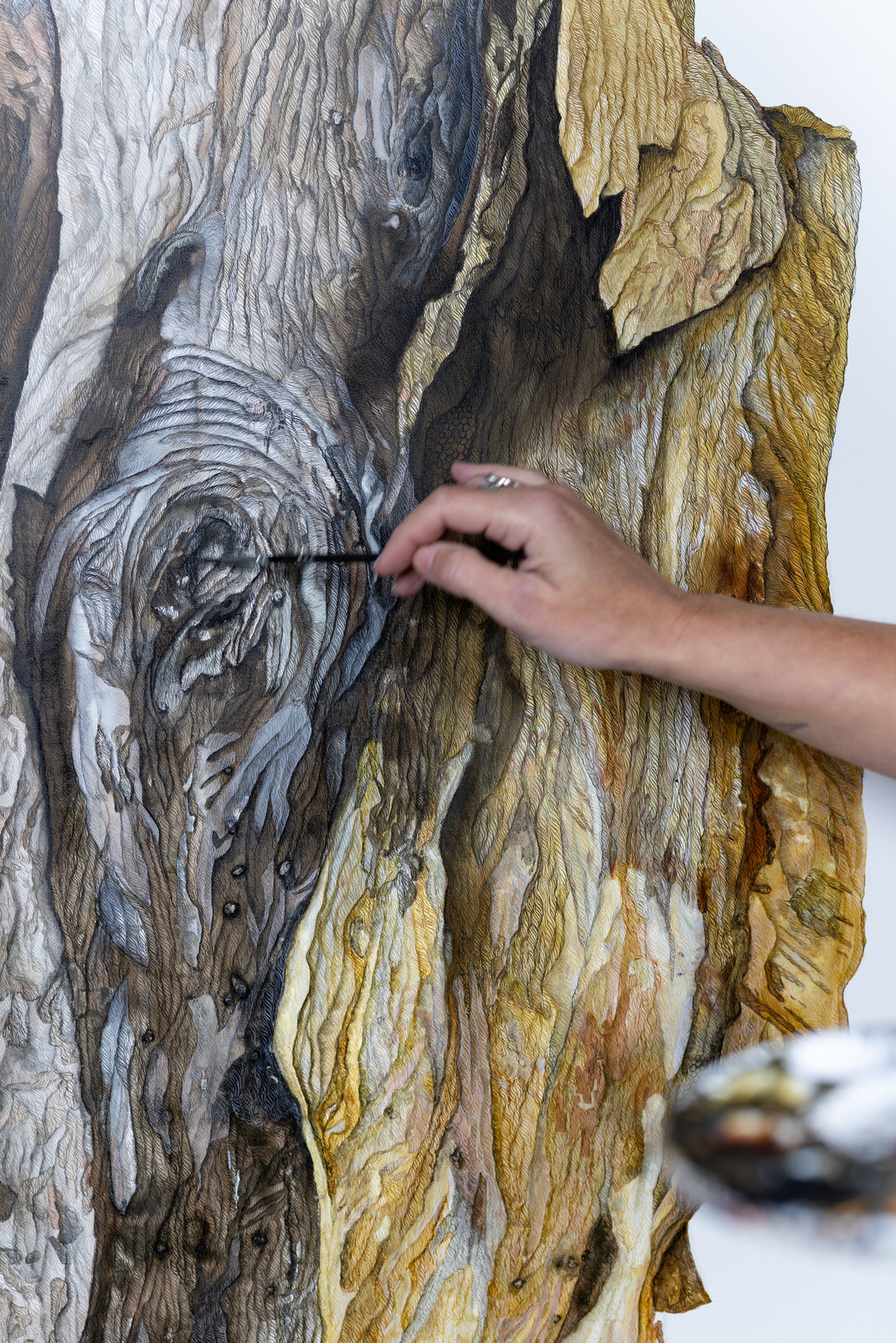 Original art and fine art prints. Australian landscape paintings ...